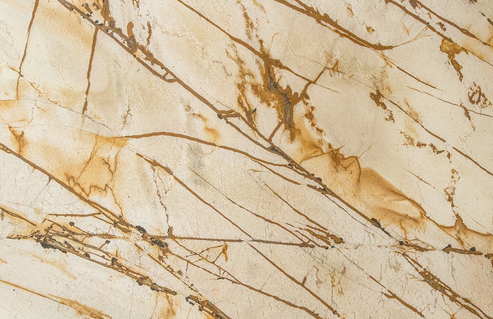 Roma Imperial – Ragolia SRL